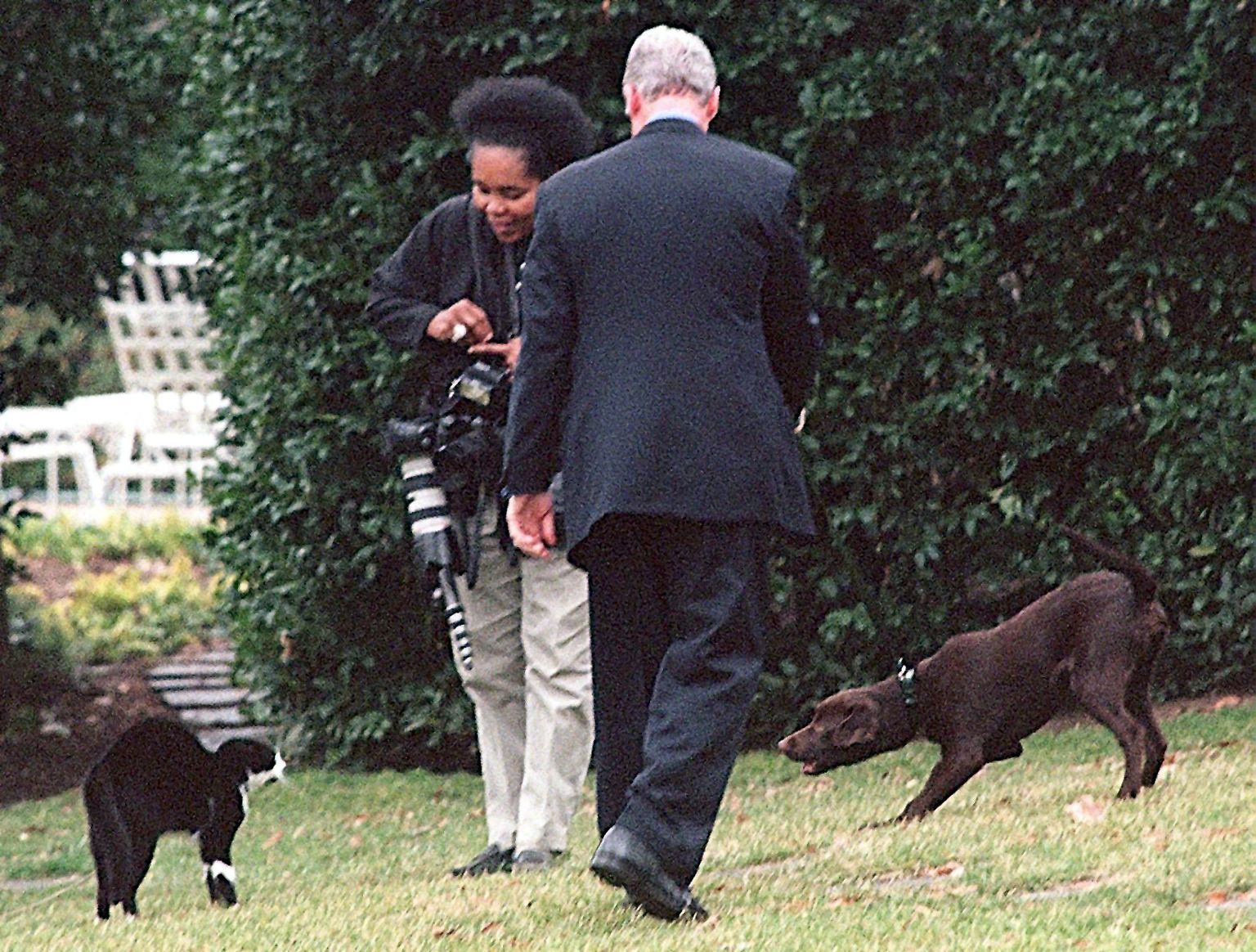 Herr über Downing Street 10: Larry, der berühmteste Kater der Welt - n ...
