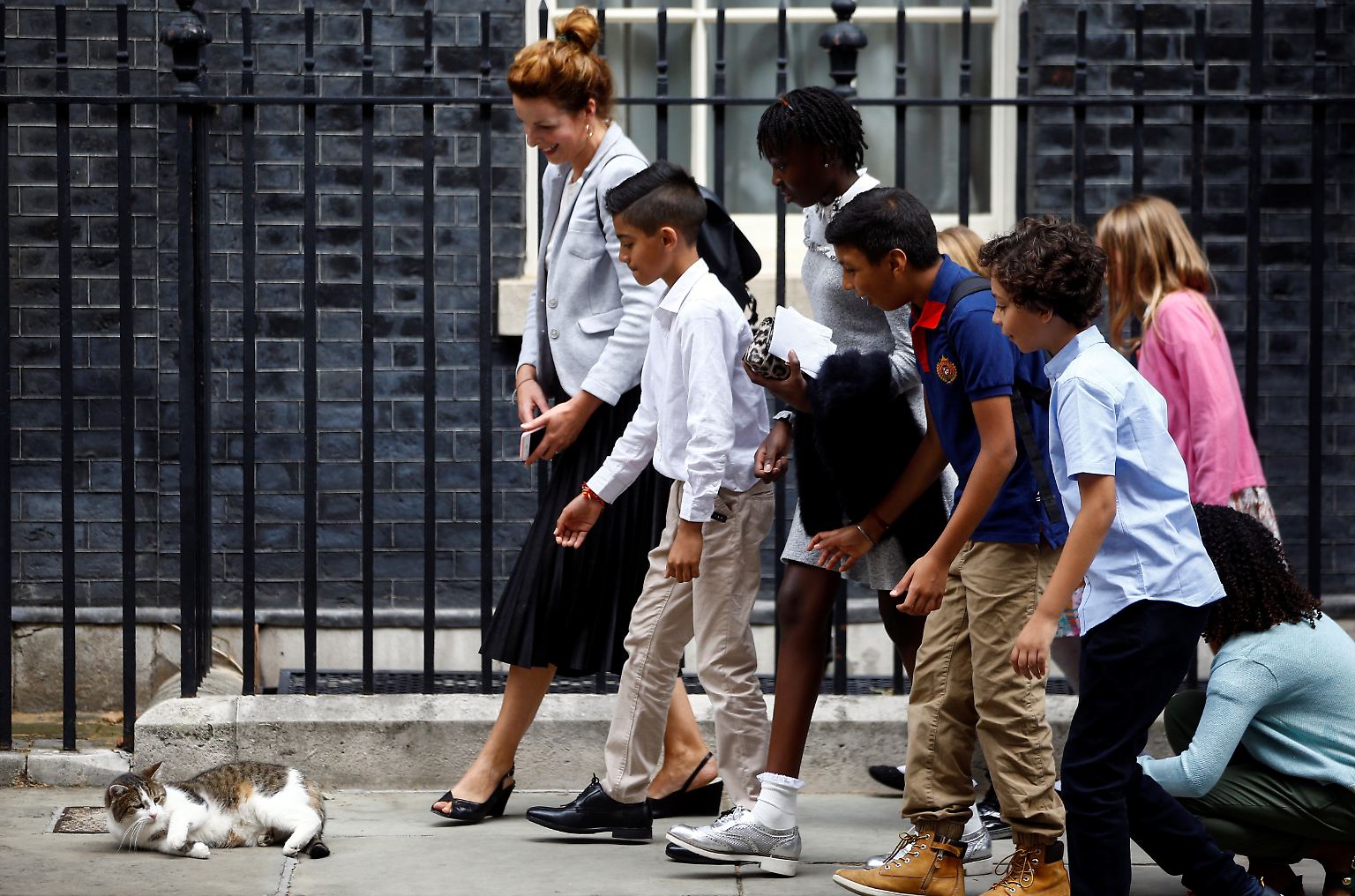 Herr über Downing Street 10: Larry, der berühmteste Kater der Welt - n ...